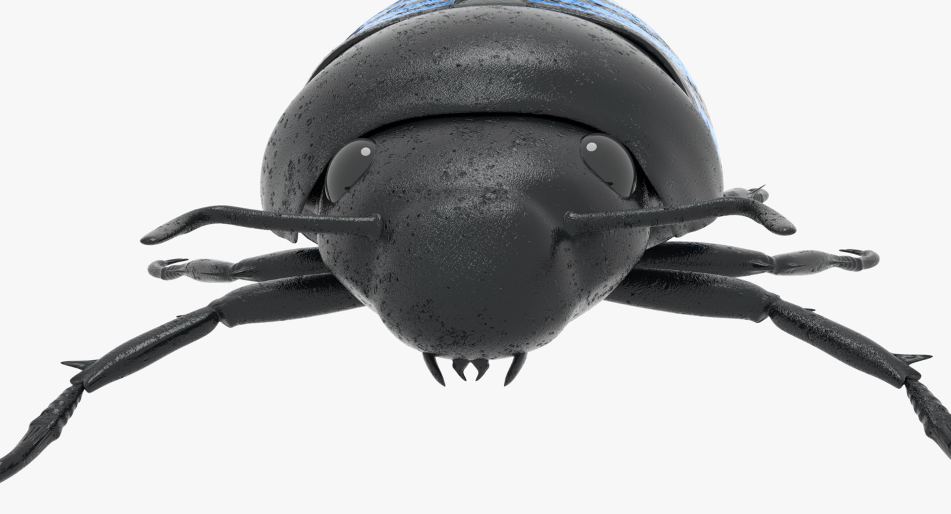 3D Scarab Beetle - TurboSquid 1288254