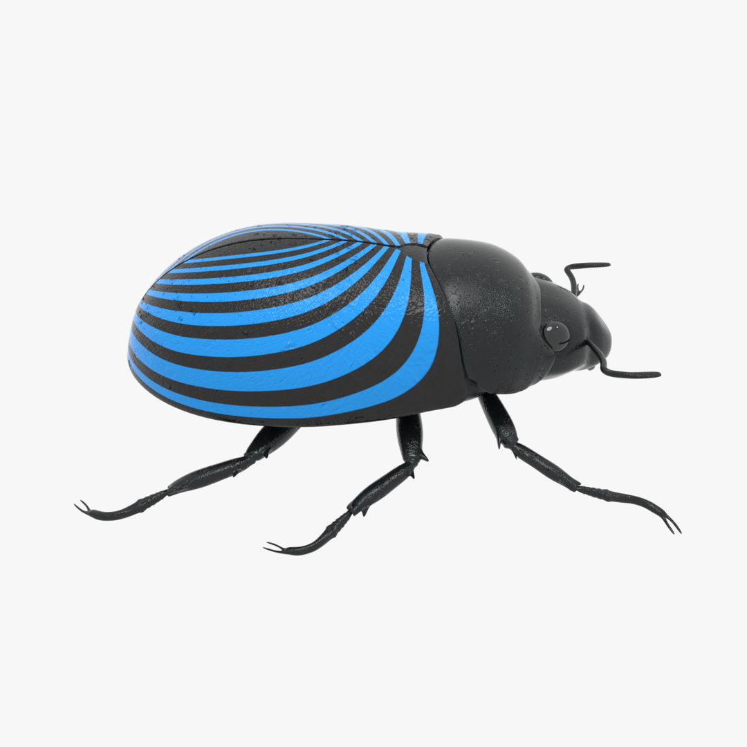 3D Scarab Beetle - TurboSquid 1288254