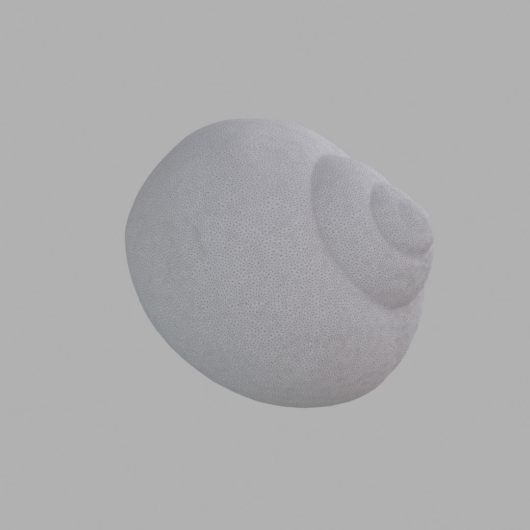 3D snail shell - TurboSquid 1220822