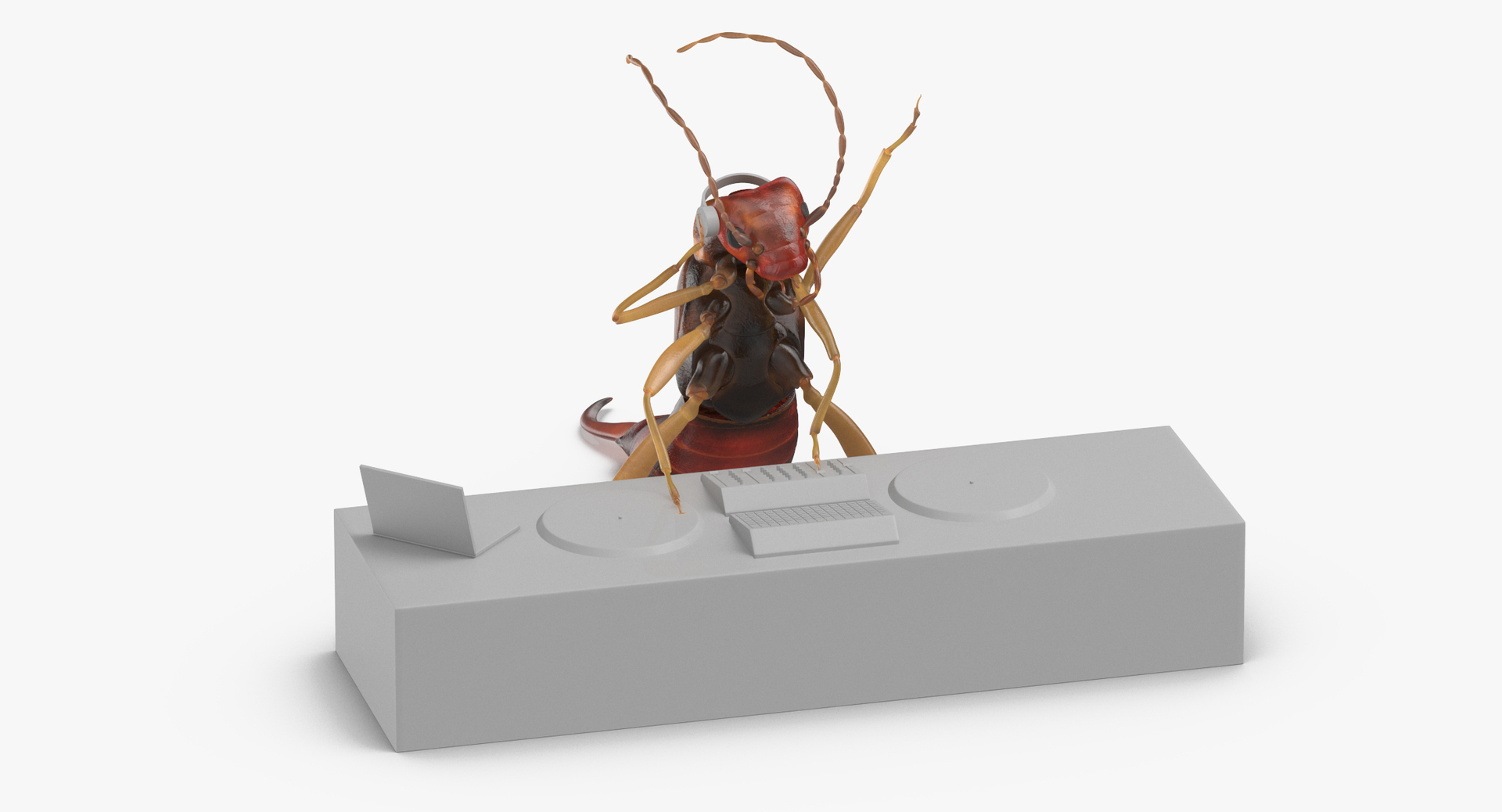 3D Ear Wig Earwig - TurboSquid 1375554