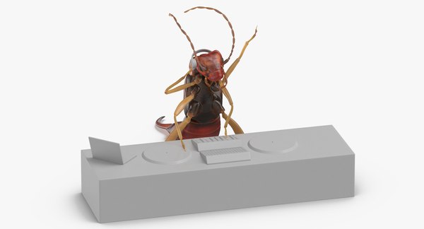 3D ear wig earwig - TurboSquid 1375554