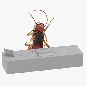 Earwig 3D Models for Download | TurboSquid