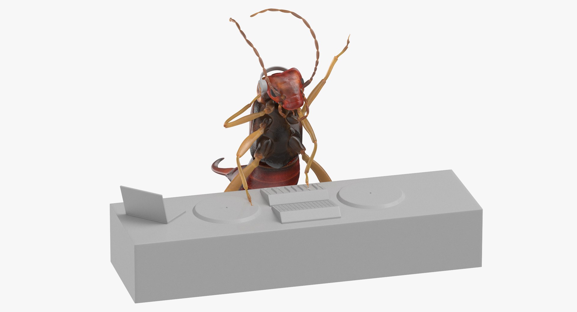 3D Ear Wig Earwig - TurboSquid 1375554