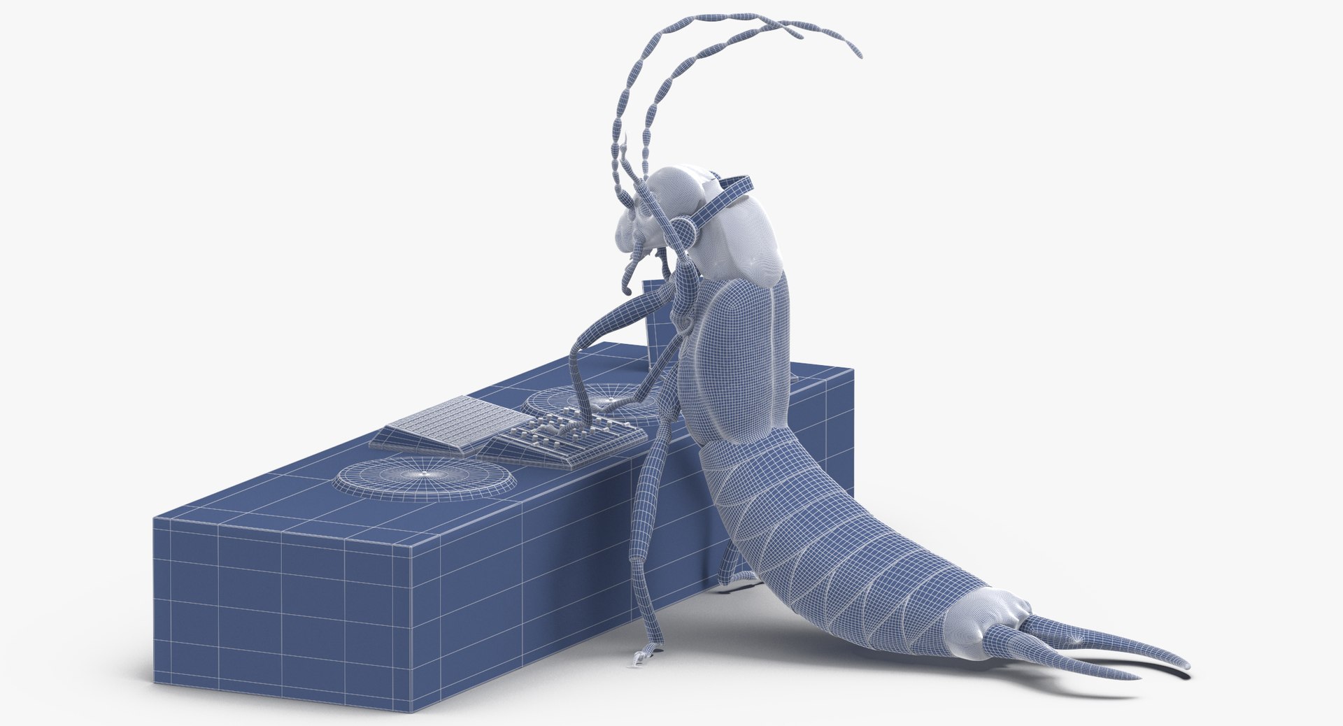 3D Ear Wig Earwig - TurboSquid 1375554