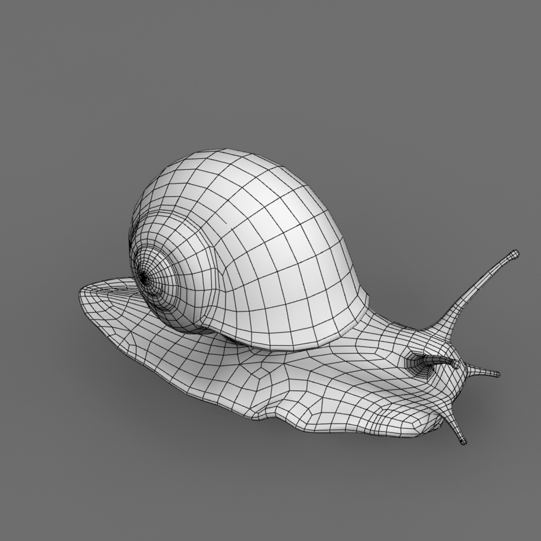 Snail Shell 3d Model