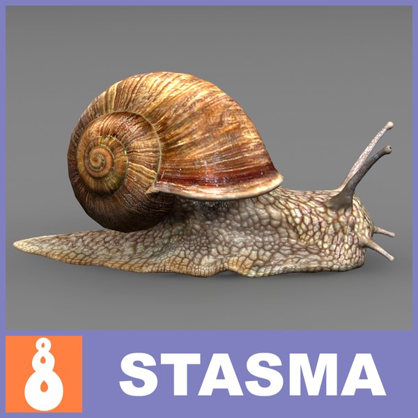 Snail 3D Models for Download | TurboSquid