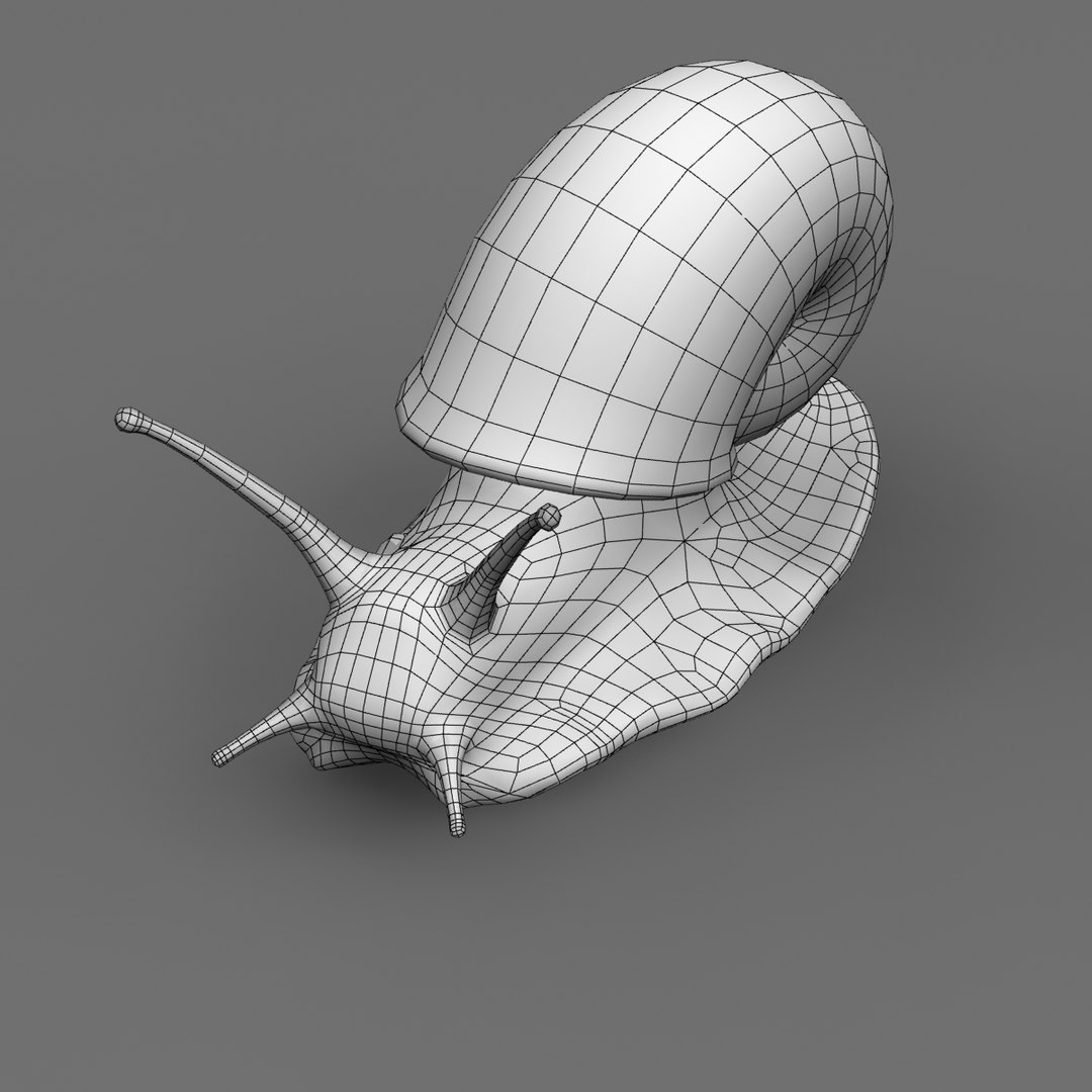 Snail Shell 3d Model