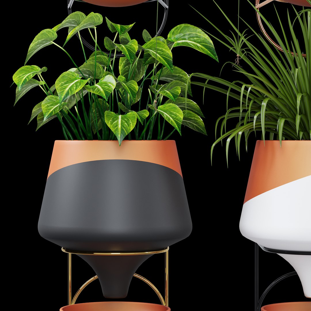 3D model holistic wall mount funnel - TurboSquid 1464975