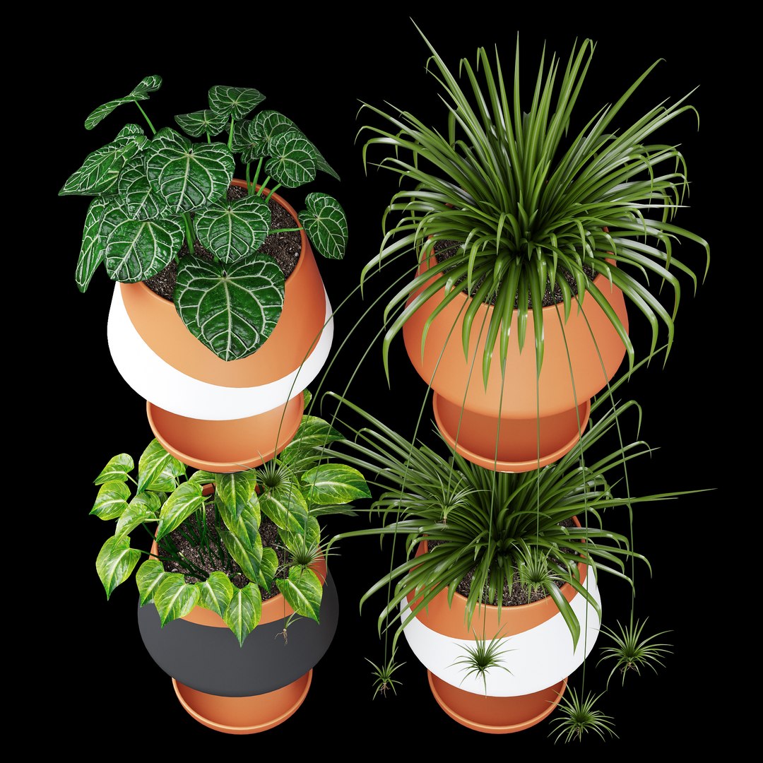 3D model holistic wall mount funnel - TurboSquid 1464975