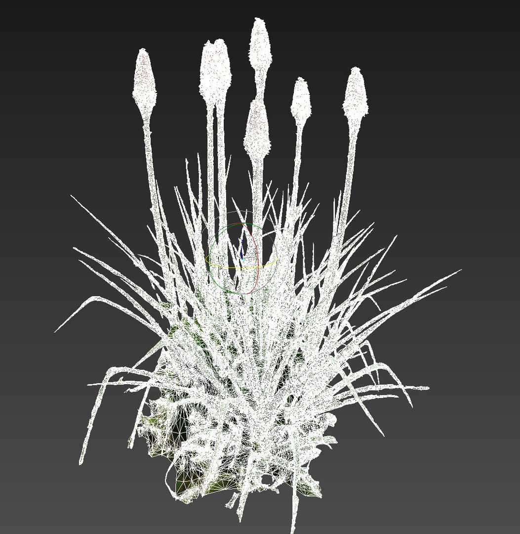 Tropical Plants Scan 8k 3D - TurboSquid 1626307