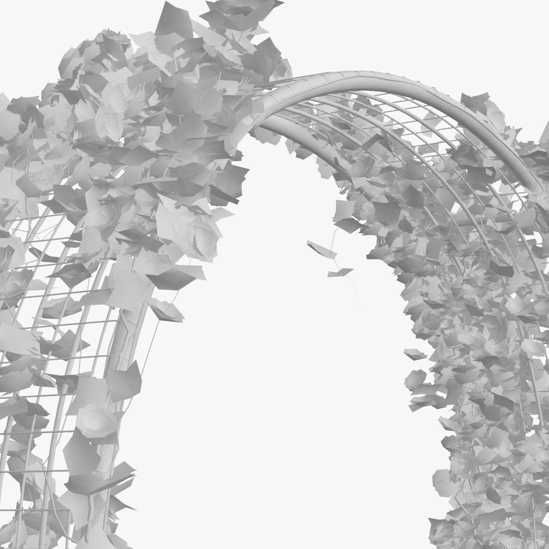 3d Model Climbing Roses Flower