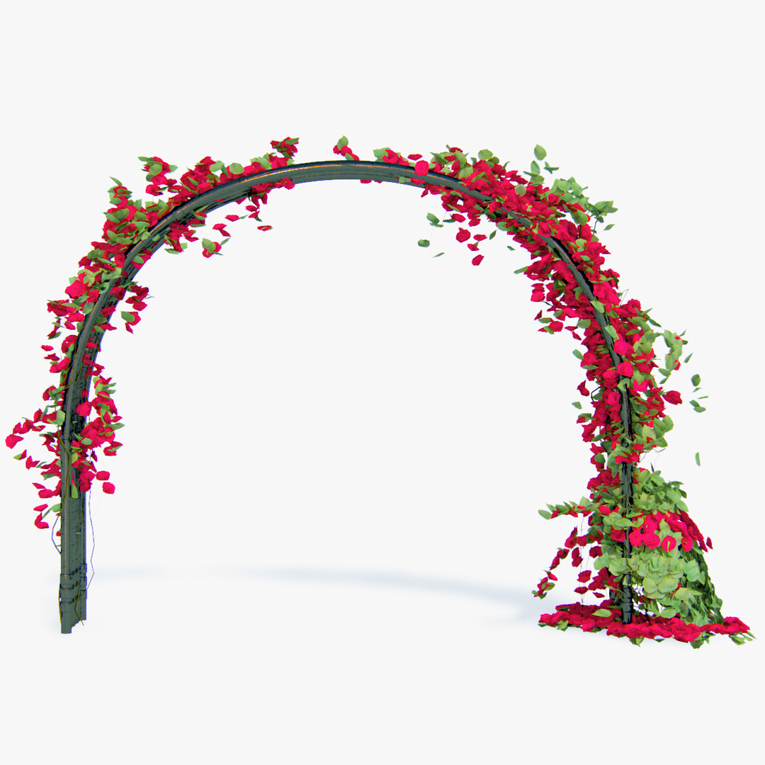 3d Model Climbing Roses Flower