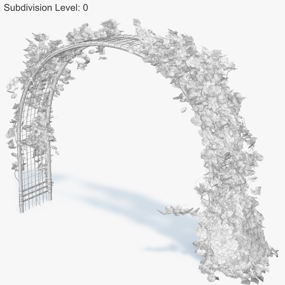 3d Model Climbing Roses Flower