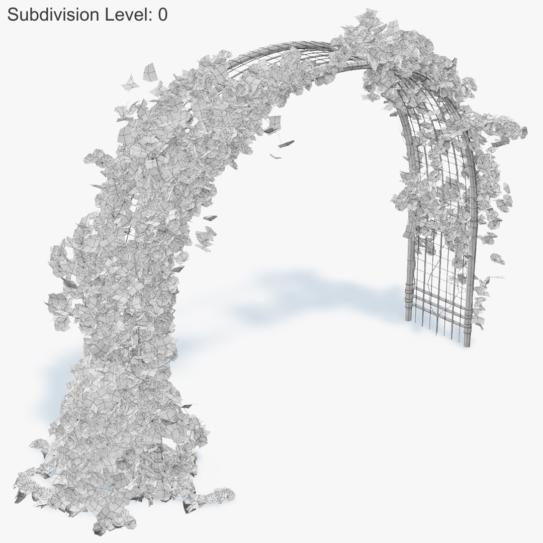 3d Model Climbing Roses Flower
