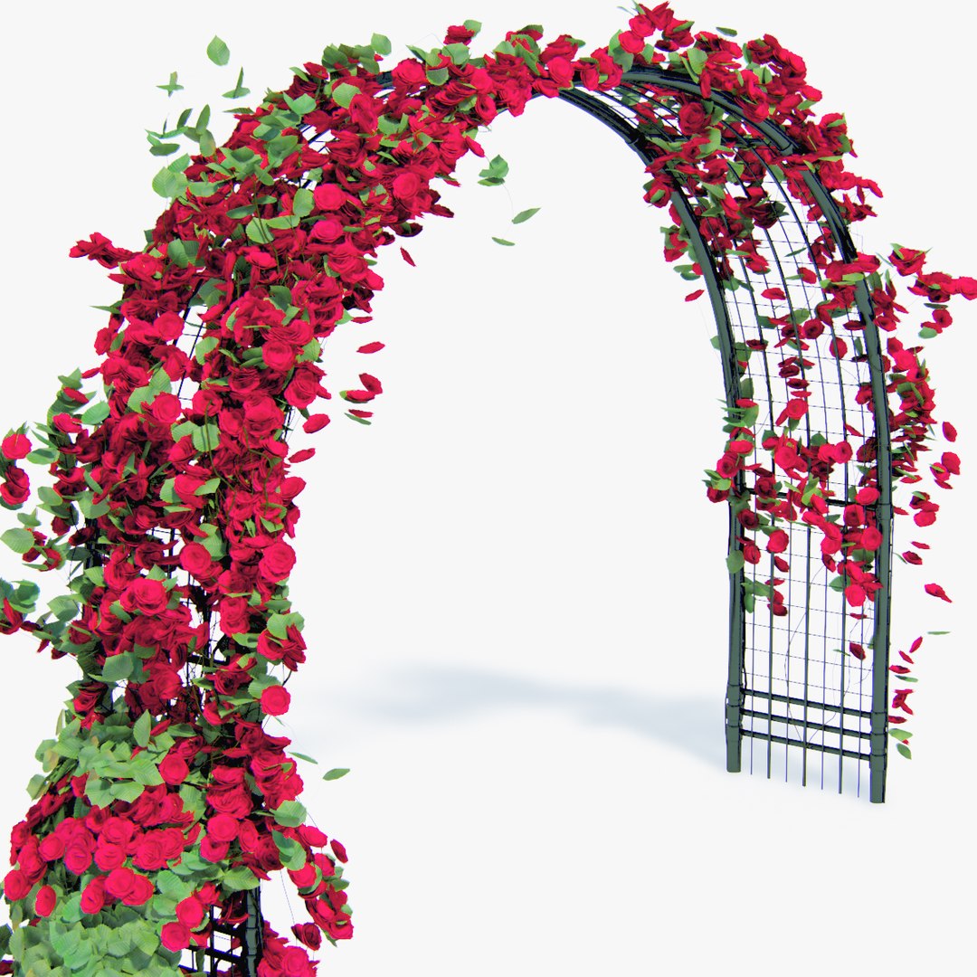 3d Model Climbing Roses Flower