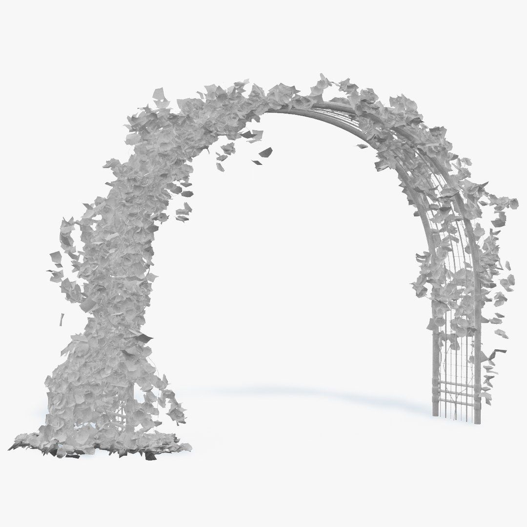 3d Model Climbing Roses Flower