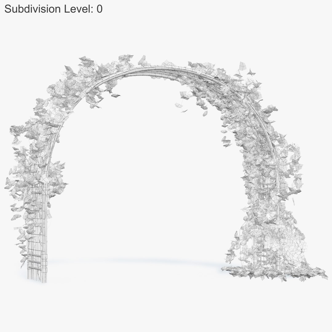 3d Model Climbing Roses Flower