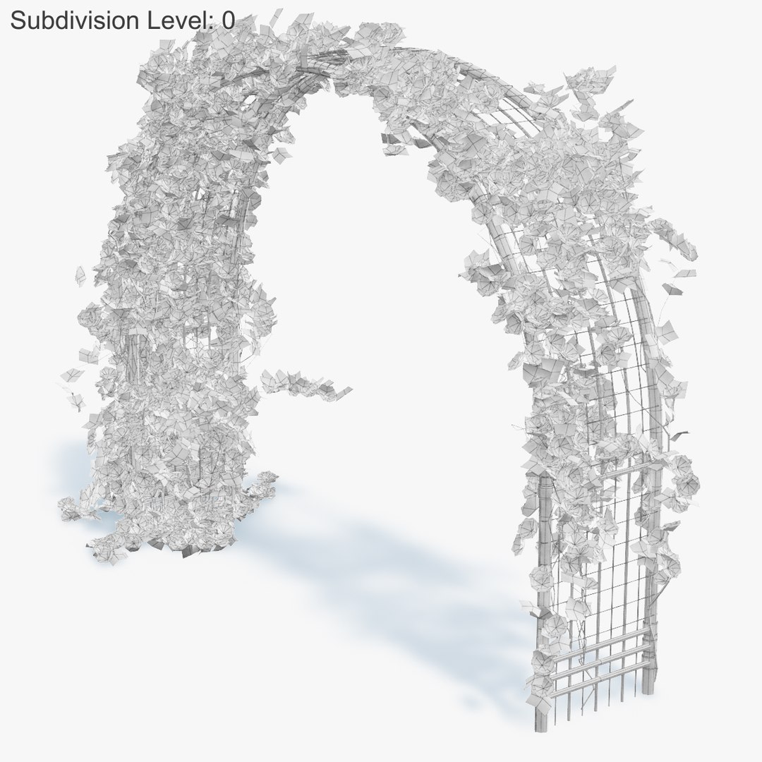 3d model climbing roses flower