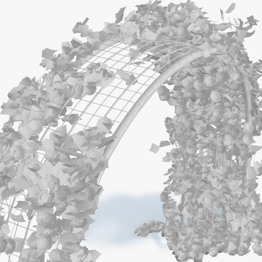 3d Model Climbing Roses Flower