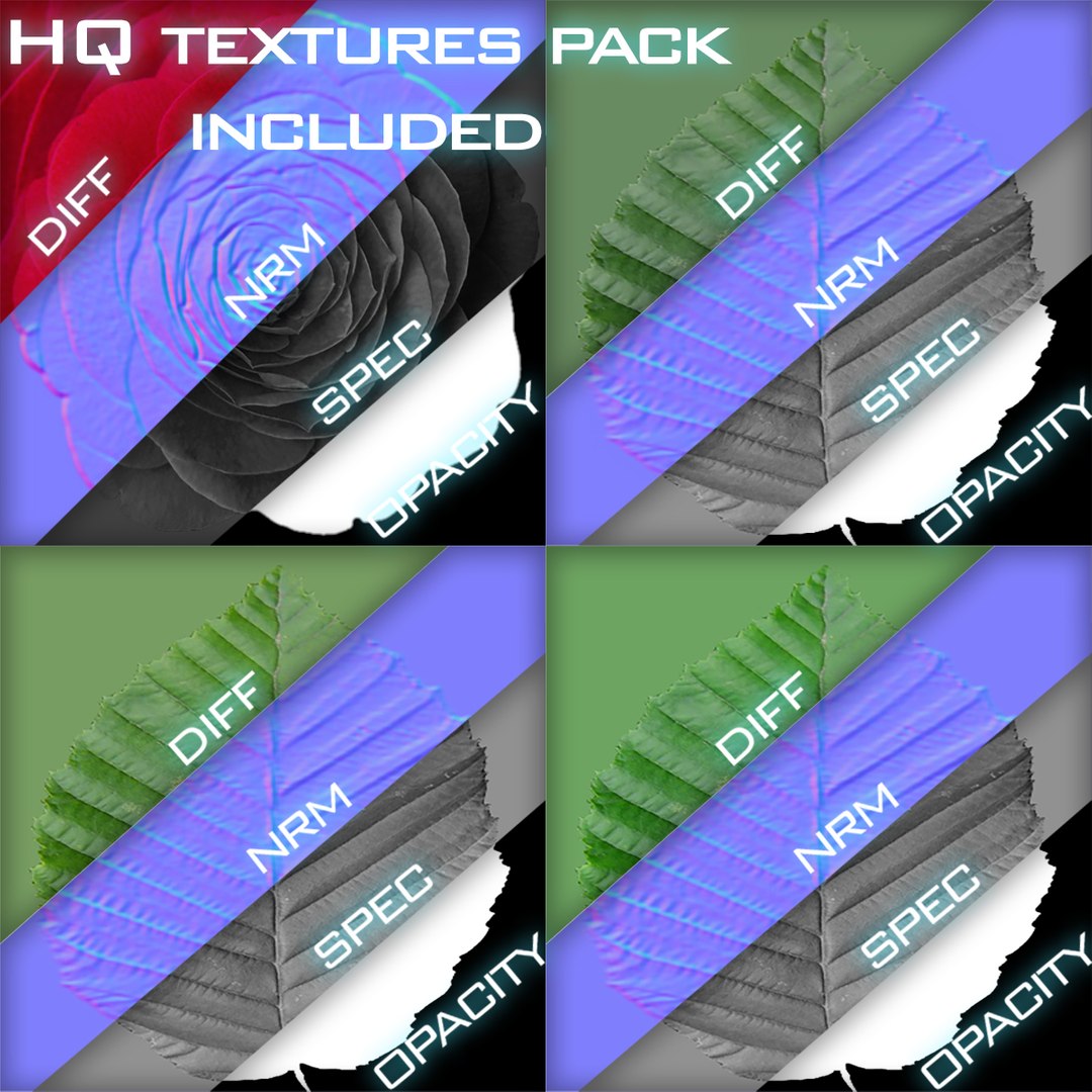 3d Model Climbing Roses Flower