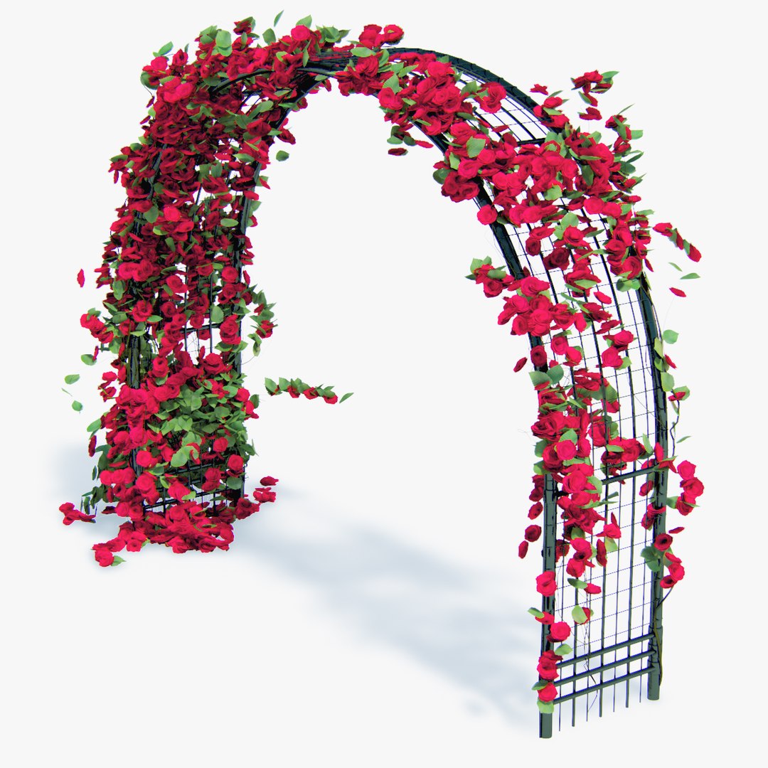 3d Model Climbing Roses Flower