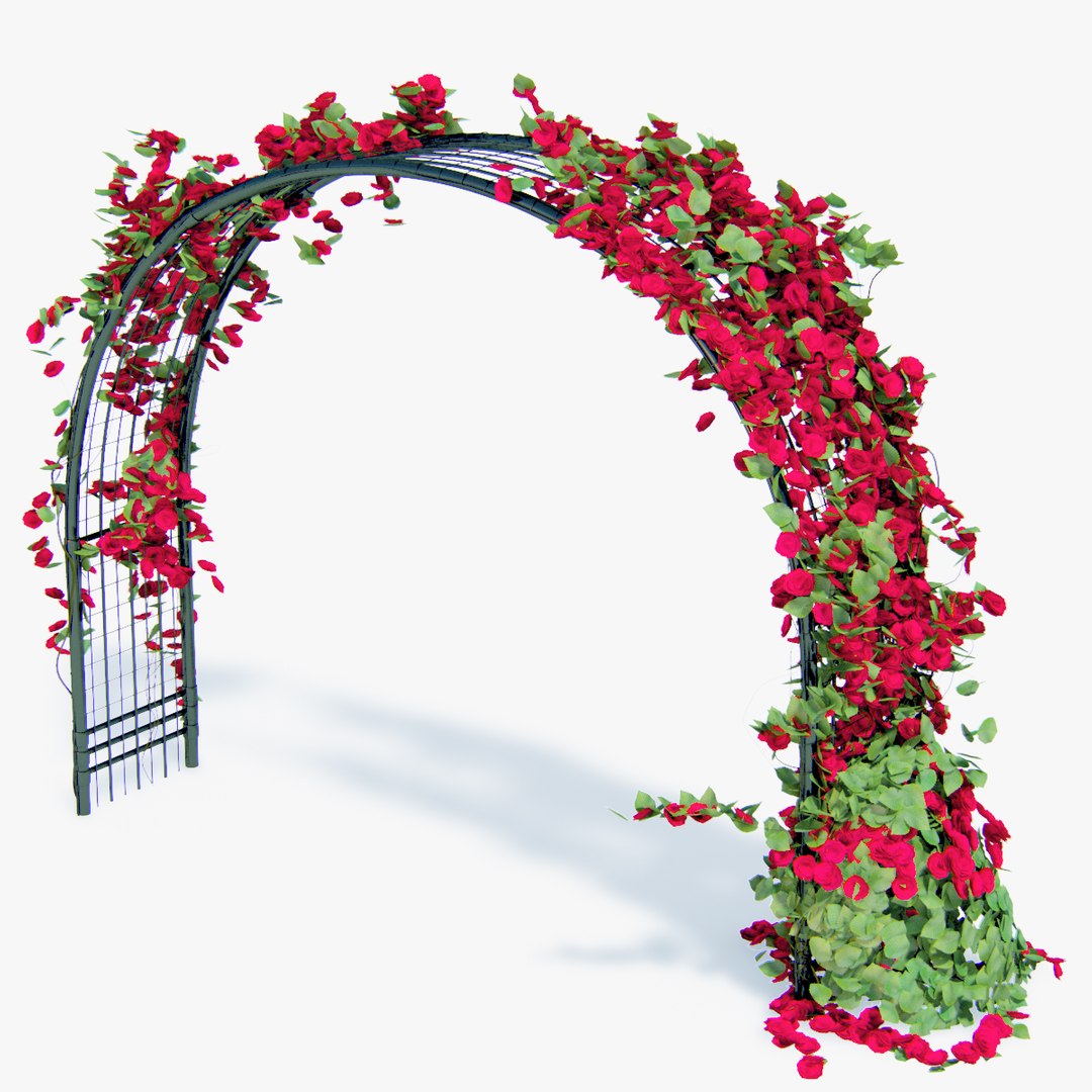 3d Model Climbing Roses Flower