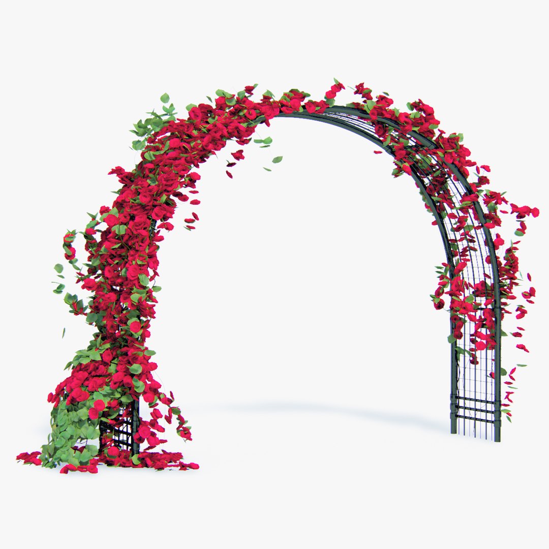 3d Model Climbing Roses Flower