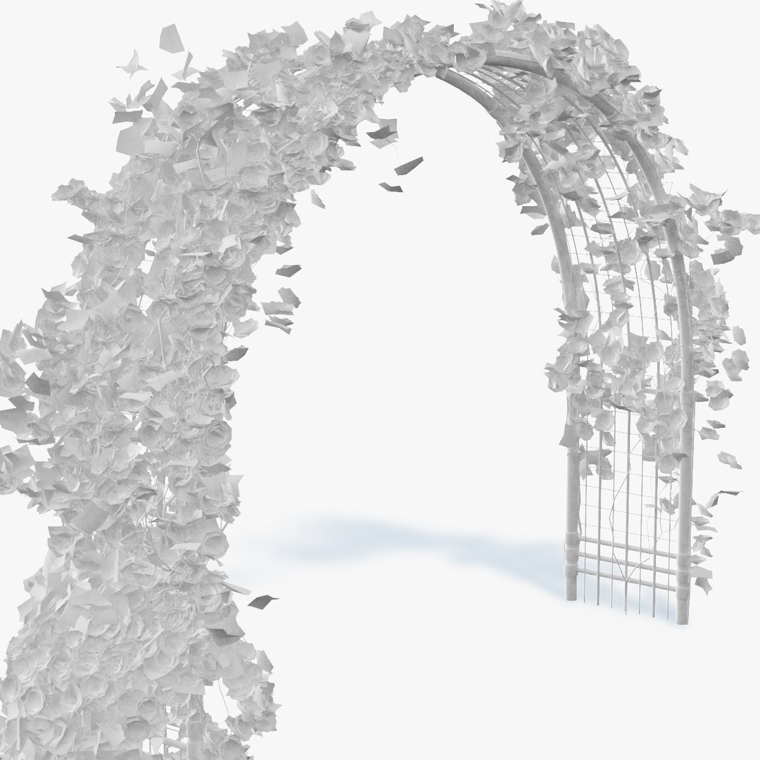 3d Model Climbing Roses Flower