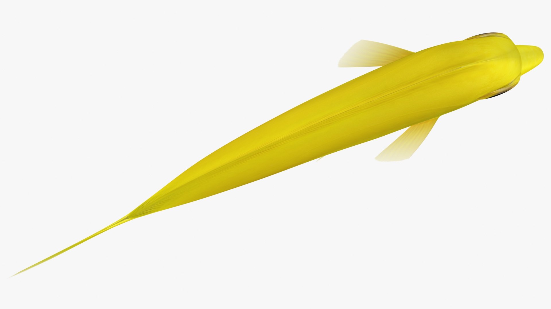 3D Yellow Tang Rigged - TurboSquid 1506909