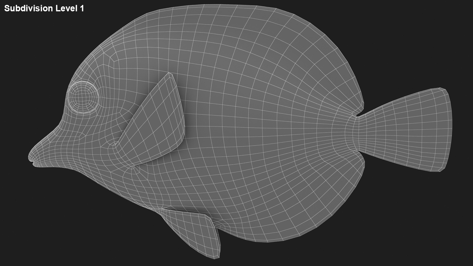 3D Yellow Tang Rigged - TurboSquid 1506909