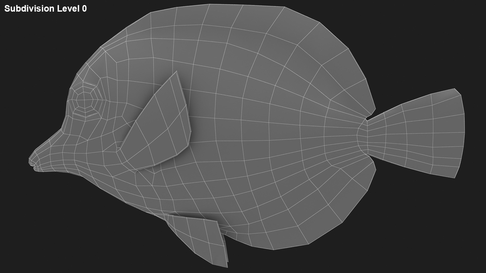 3D Yellow Tang Rigged - TurboSquid 1506909