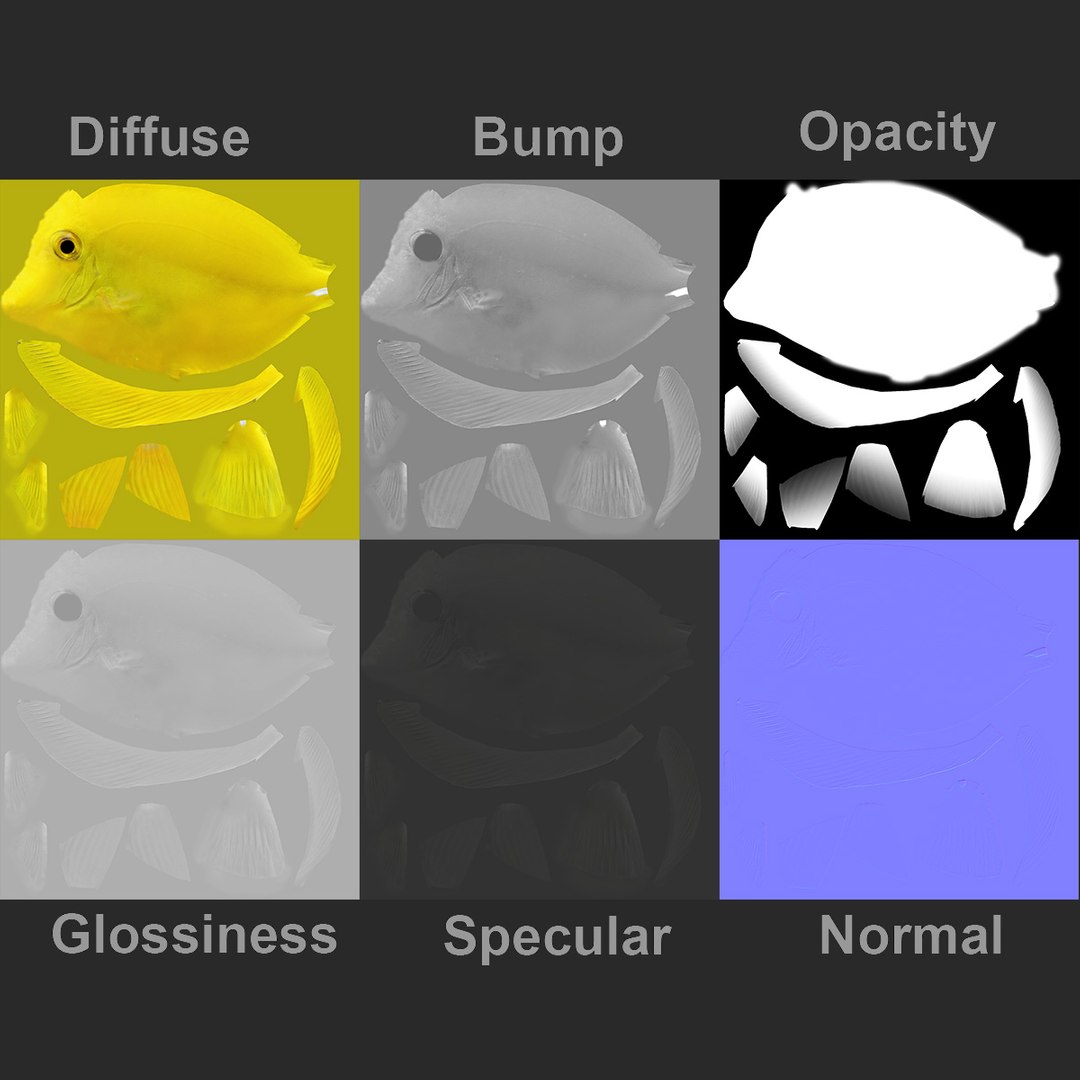 3D Yellow Tang Rigged - TurboSquid 1506909