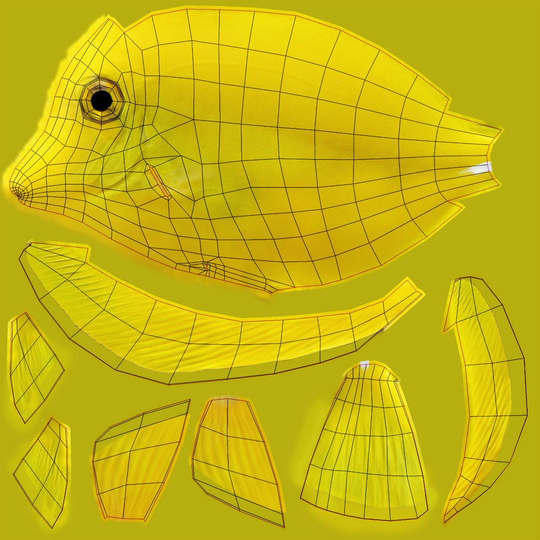 3D Yellow Tang Rigged - TurboSquid 1506909