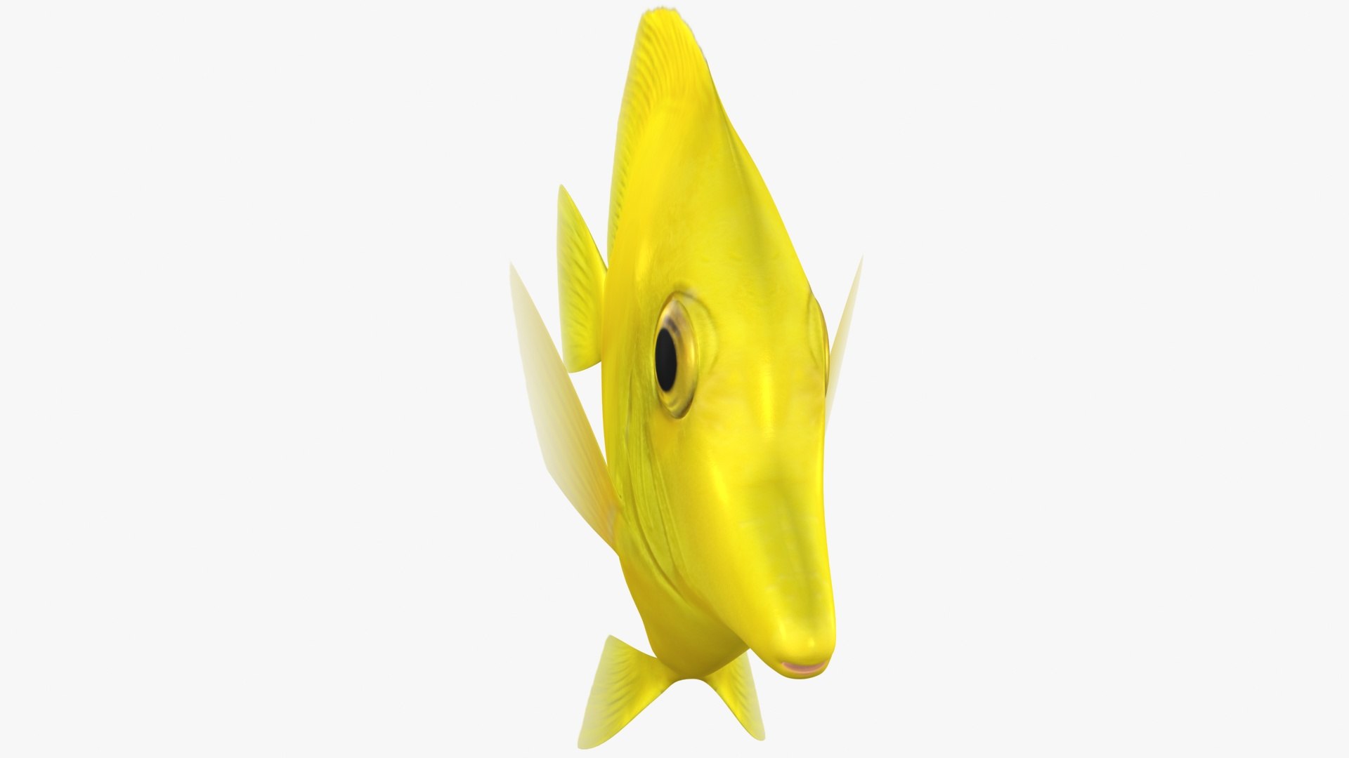 3D Yellow Tang Rigged - TurboSquid 1506909