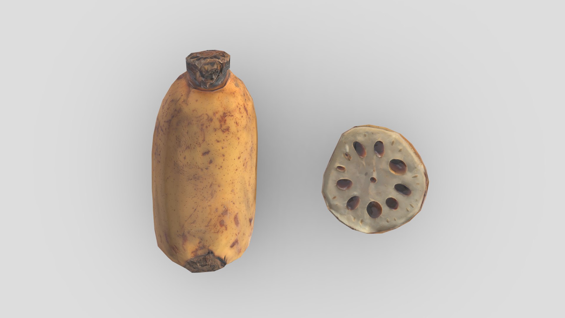 3D Lotus Root Low Poly Model - TurboSquid 2251450