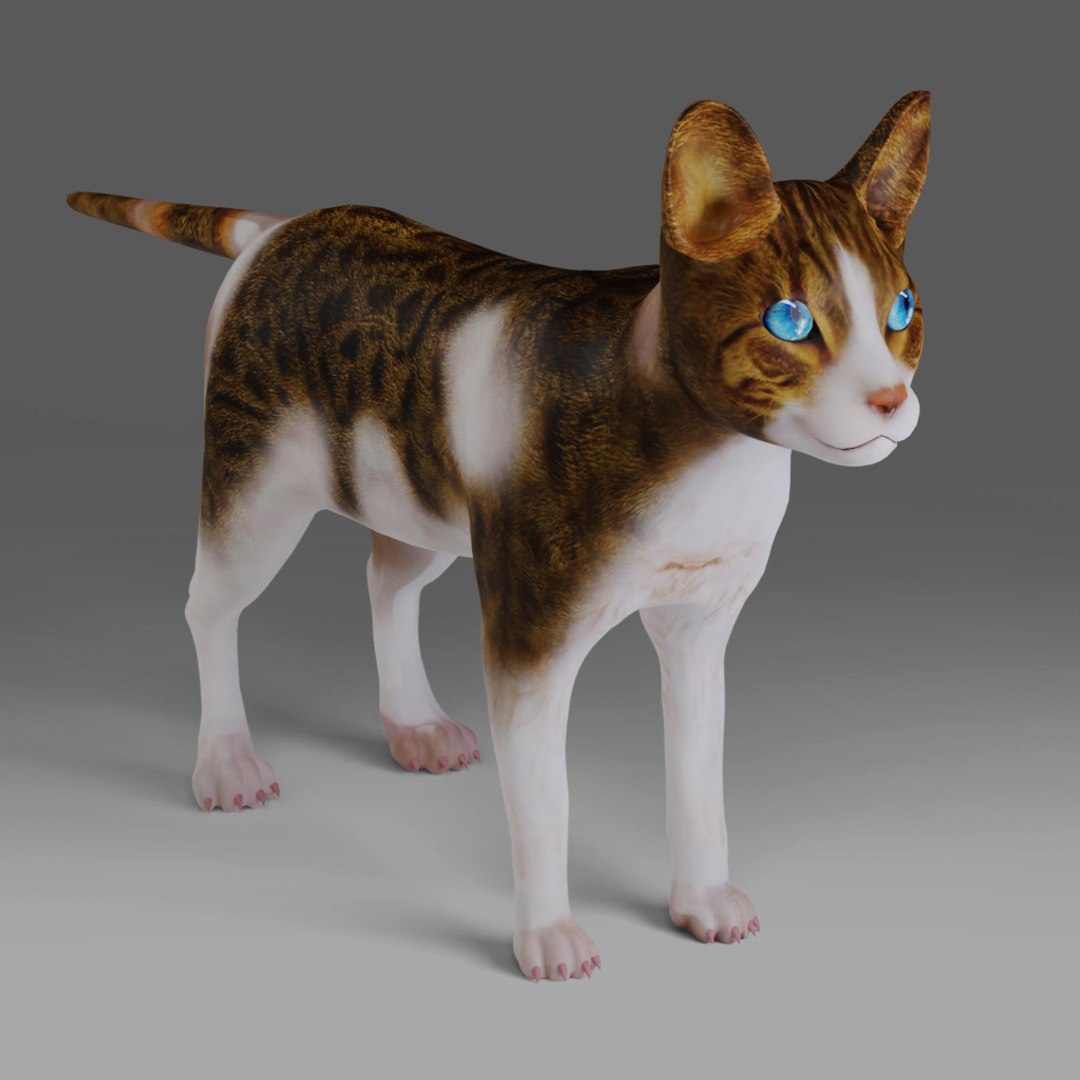 Calico Cat No Rigged V3 Model - TurboSquid 1984969