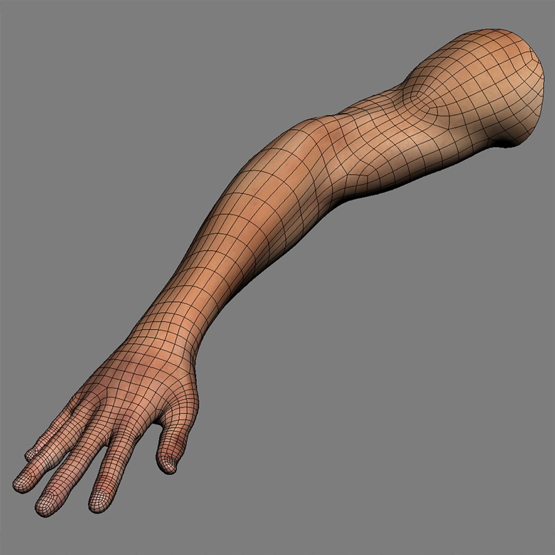 Max Human Male Arm Anatomy