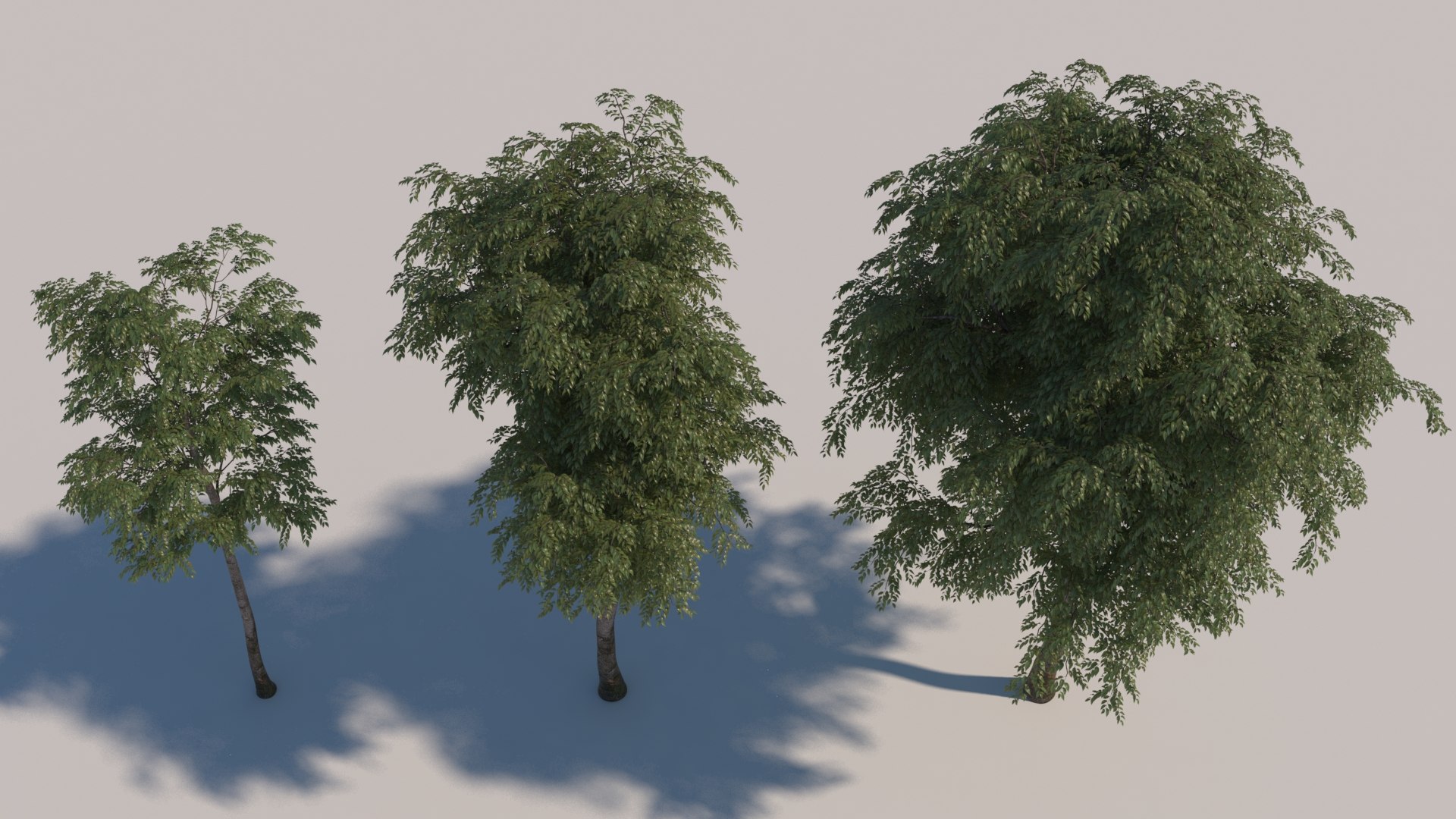 3 Set Trees 3D Model - TurboSquid 1471435