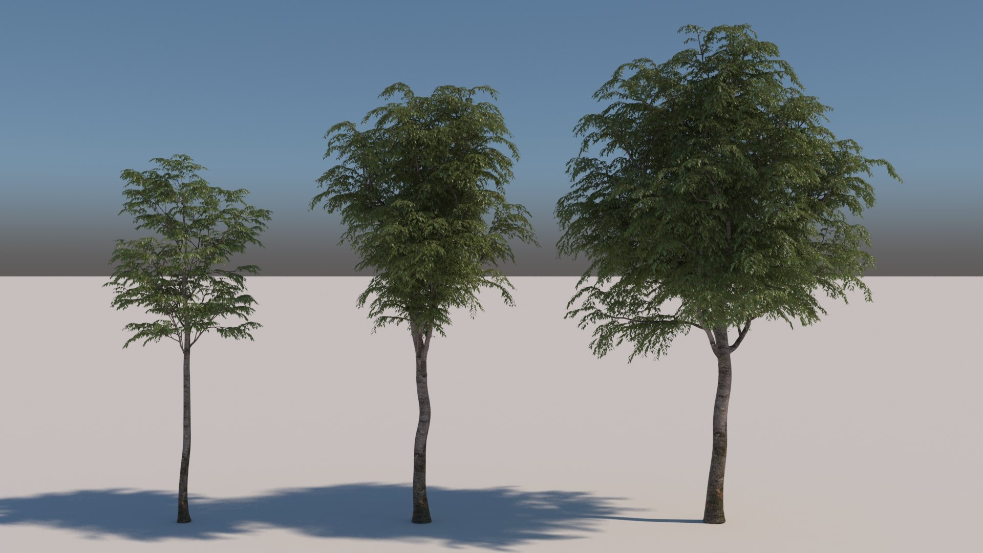 3 Set Trees 3D Model - TurboSquid 1471435