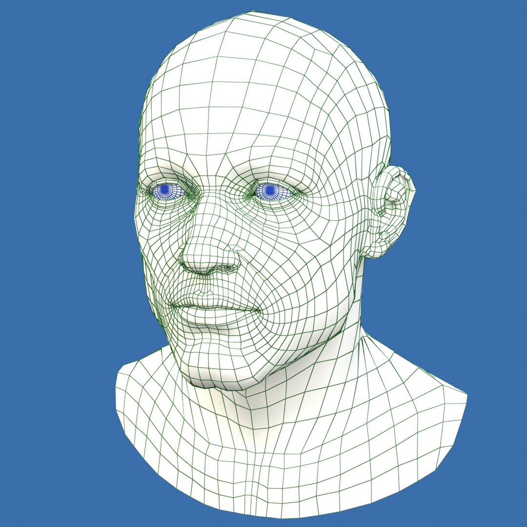 3d Model Polygonal Male Head