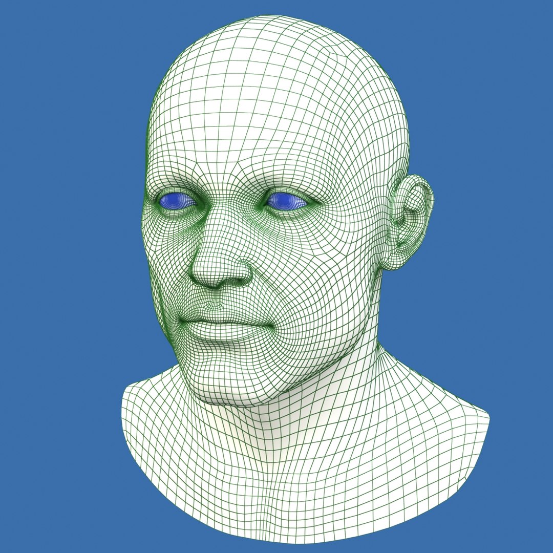 3d Model Polygonal Male Head