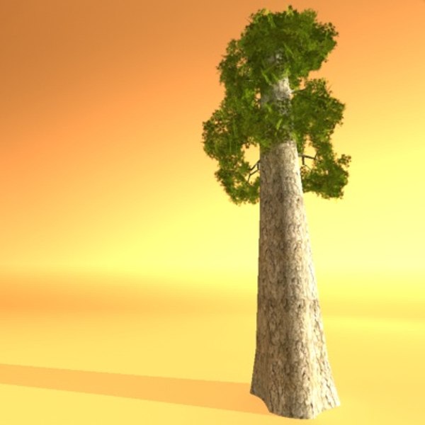 Redwood 3D Models for Download | TurboSquid