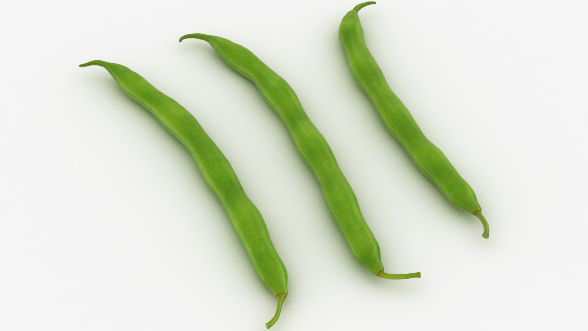 3D green bean - TurboSquid 1657655