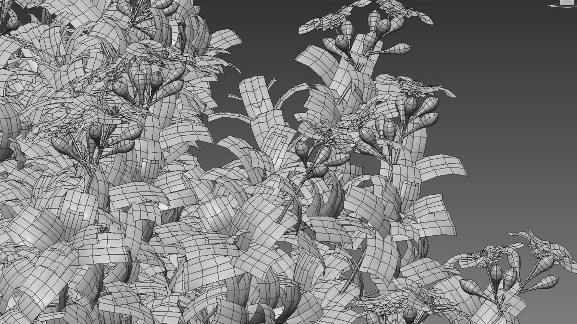 Gardenia Augusta Model - TurboSquid 1791233