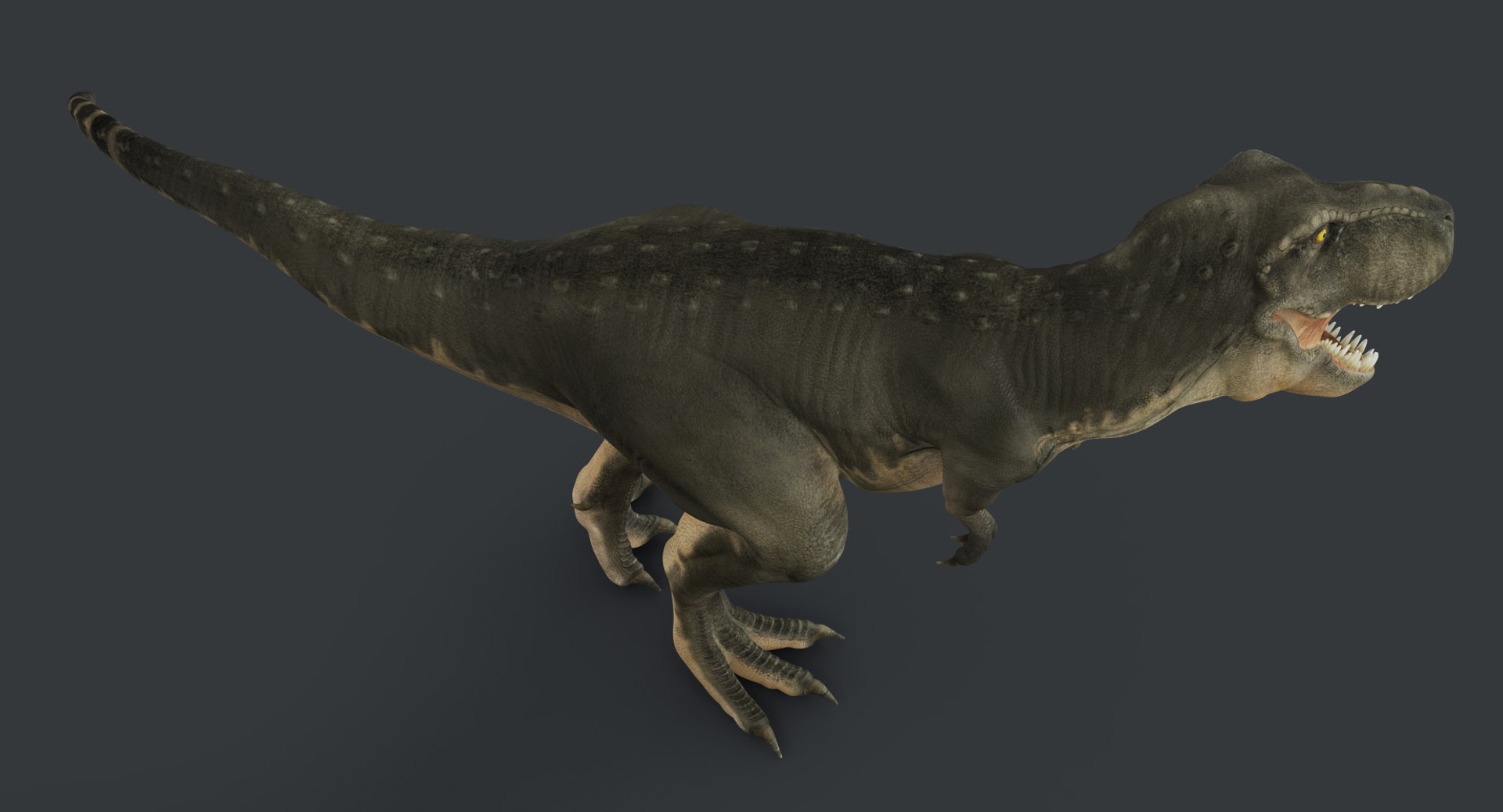 Tyrannosaurus Rex Rigged Trex 3d Ma