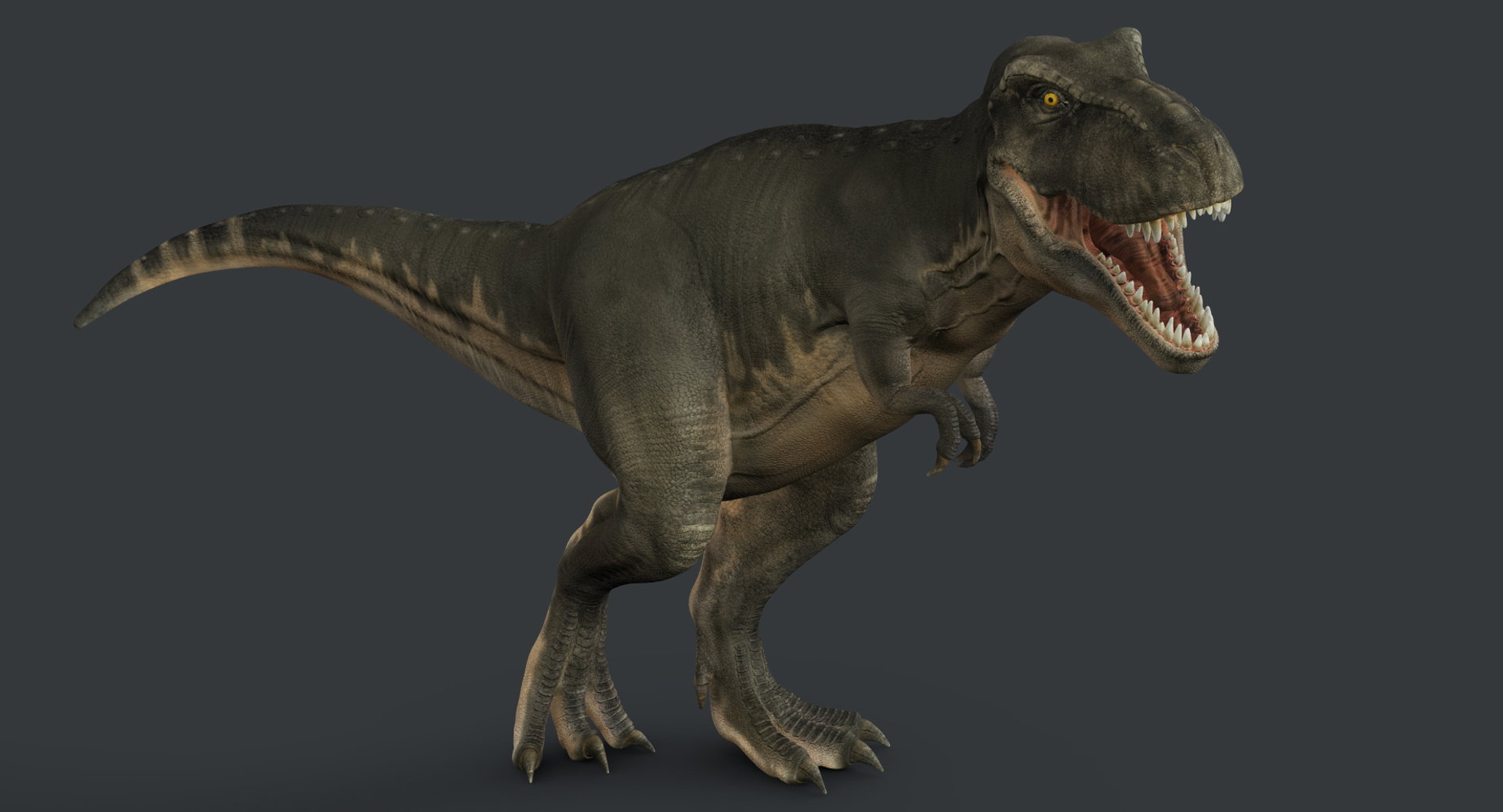 tyrannosaurus rex rigged trex 3d ma