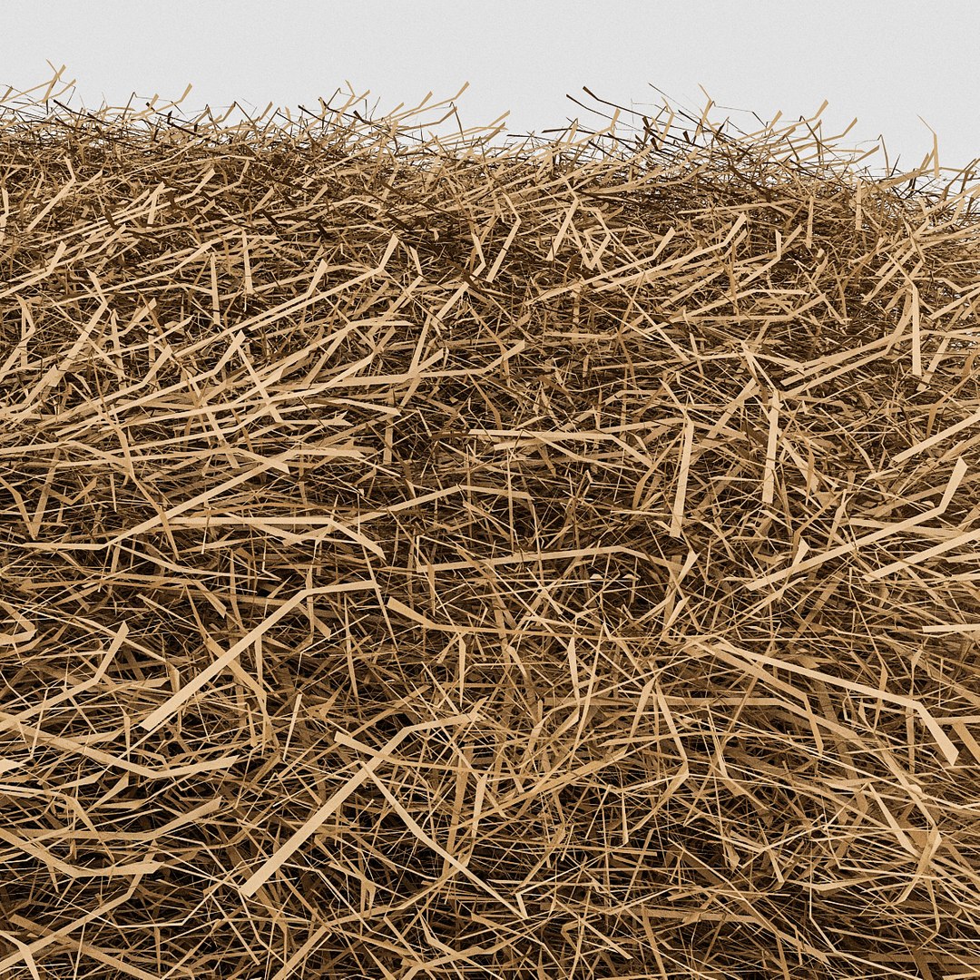 3D Straw - TurboSquid 1441643