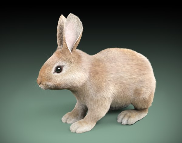 rabbit fbx