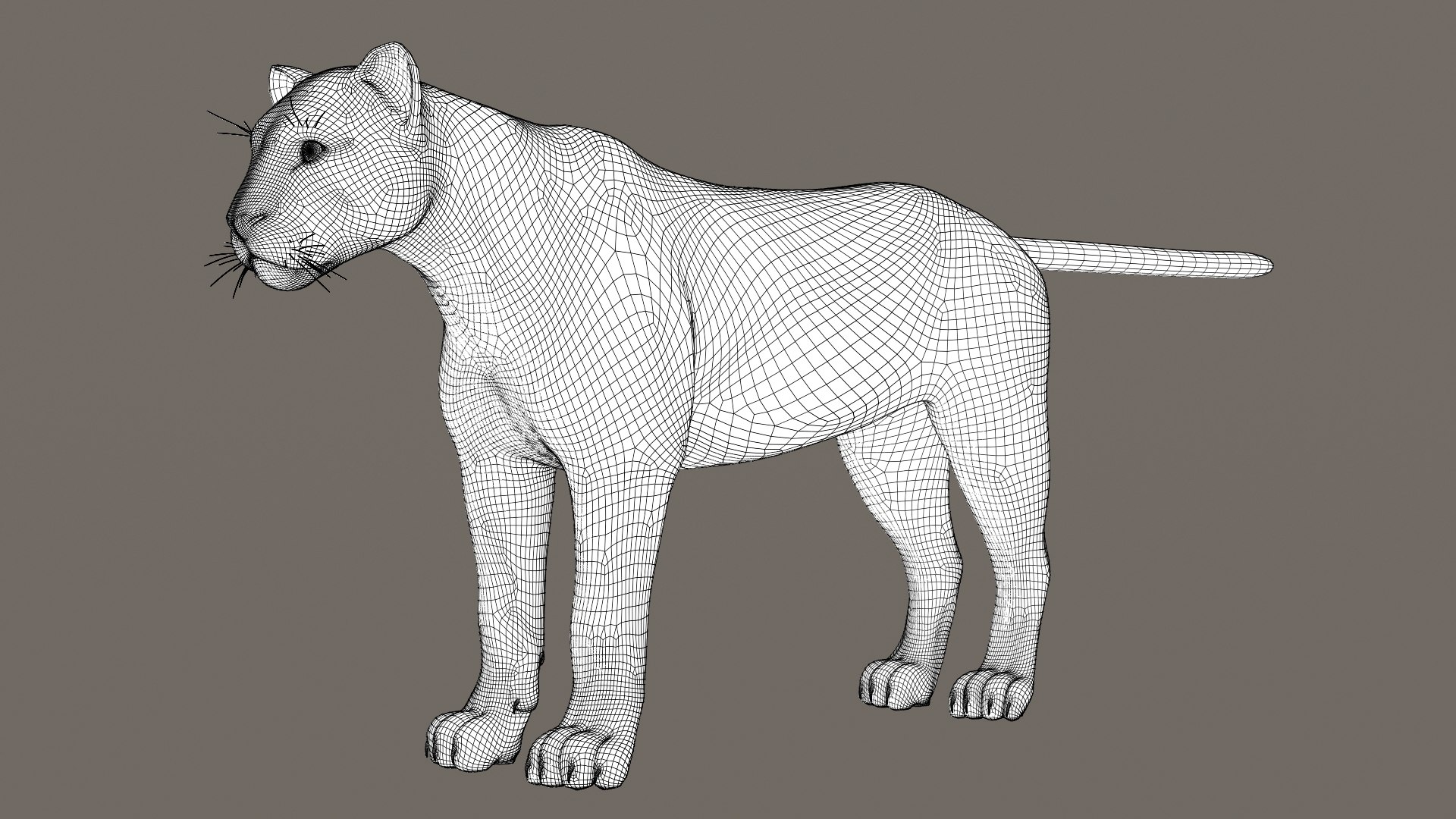 3D Vary Fur Puma - TurboSquid 1438142
