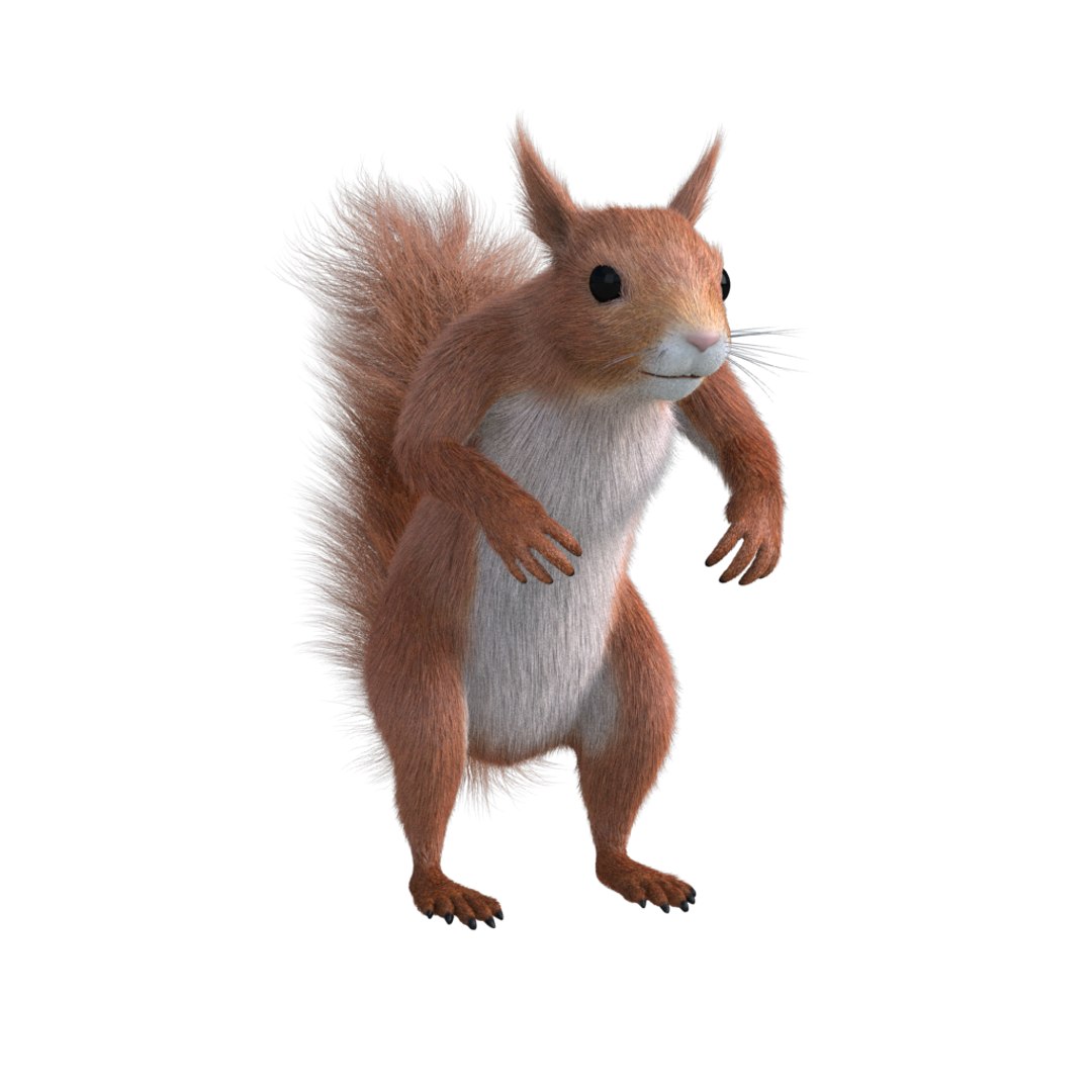 3d Model Red Squirrel